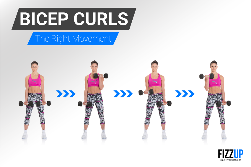 Get Sculpted Arms With Bicep Curls Fizzup