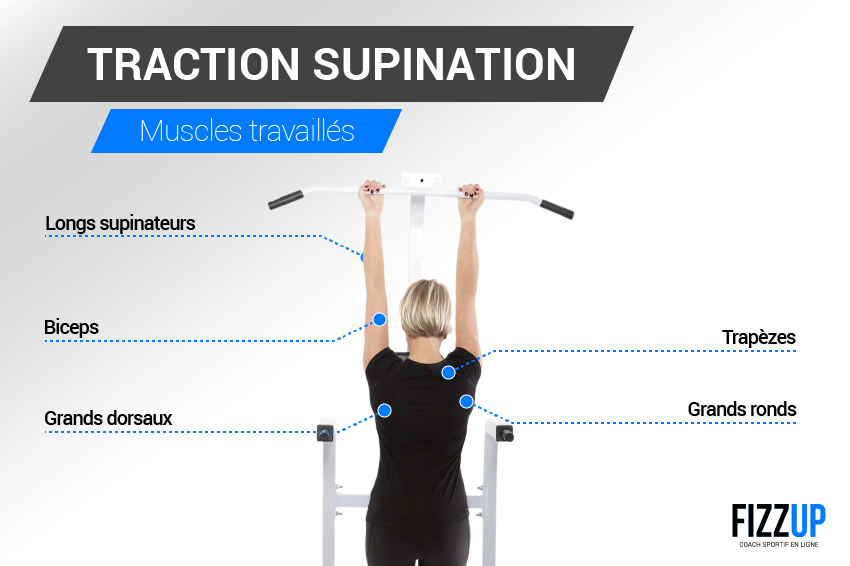 Devenez plus fort avec les tractions supination ! | FizzUp