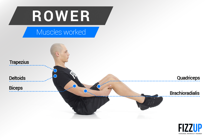 Rower In A Muscle
