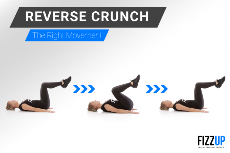Get Abs of Steel with Reverse Crunches! | FizzUp
