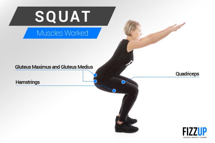 Squats: An Ideal Exercise for Building Leg Muscle | FizzUp