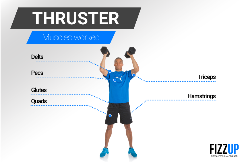 Build Muscle Mass with Thrusters | FizzUp