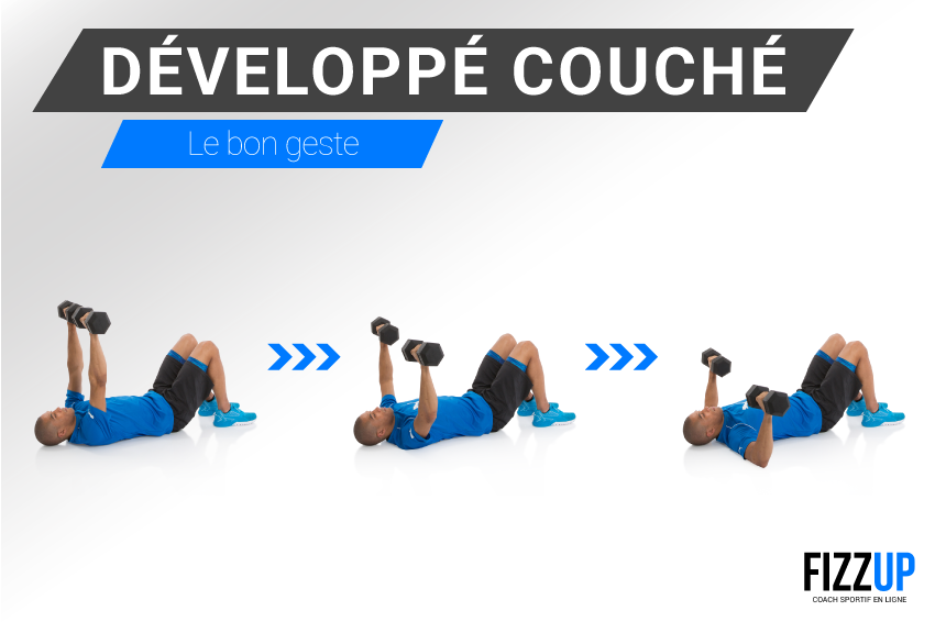 Comment Muscler Les Pectoraux A La Maison | Ventana Blog